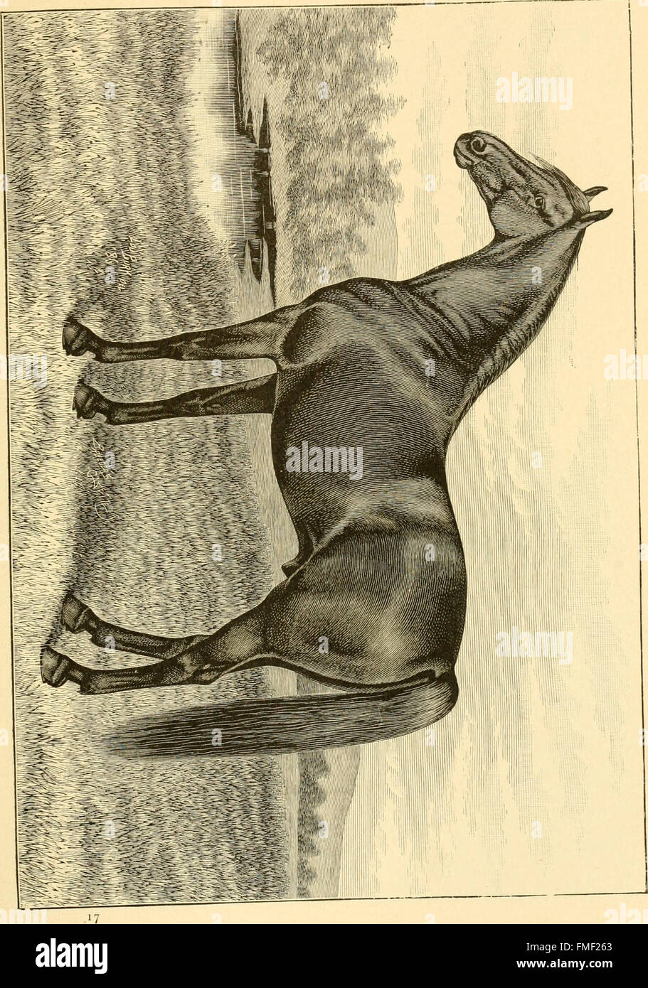 This 1887 work explores various livestock breeds and their genetic ...