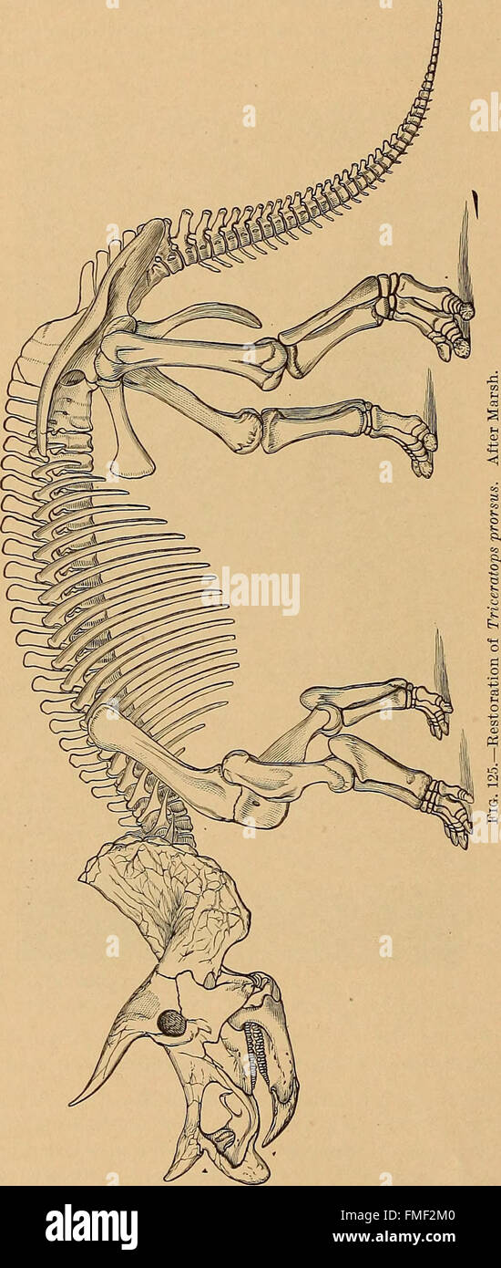 'The Ceratopsia' (1907) provides an in-depth study of ceratopsid ...