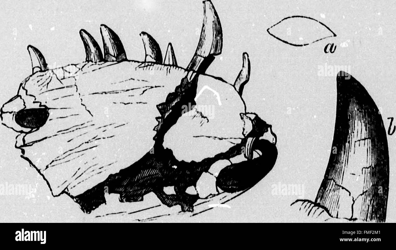 *The Chain of Life in Geological Time* (1880) outlines the evolutionary ...