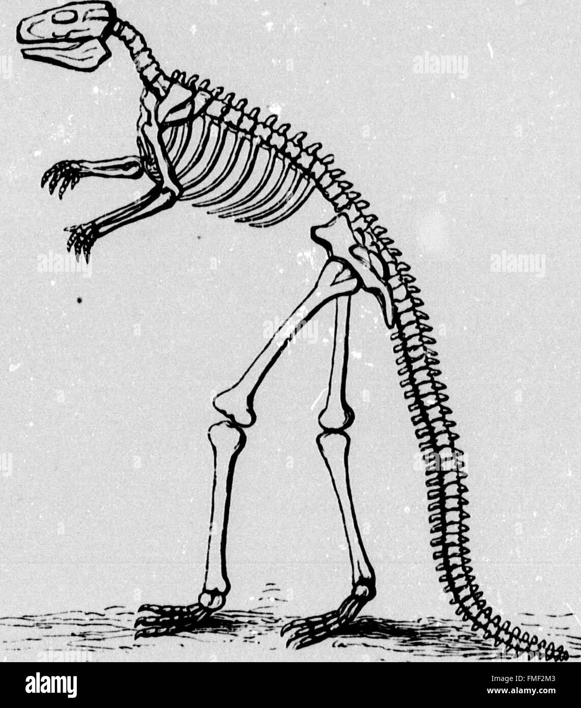 'The Chain of Life in Geological Time' (1880) explores the origin and ...