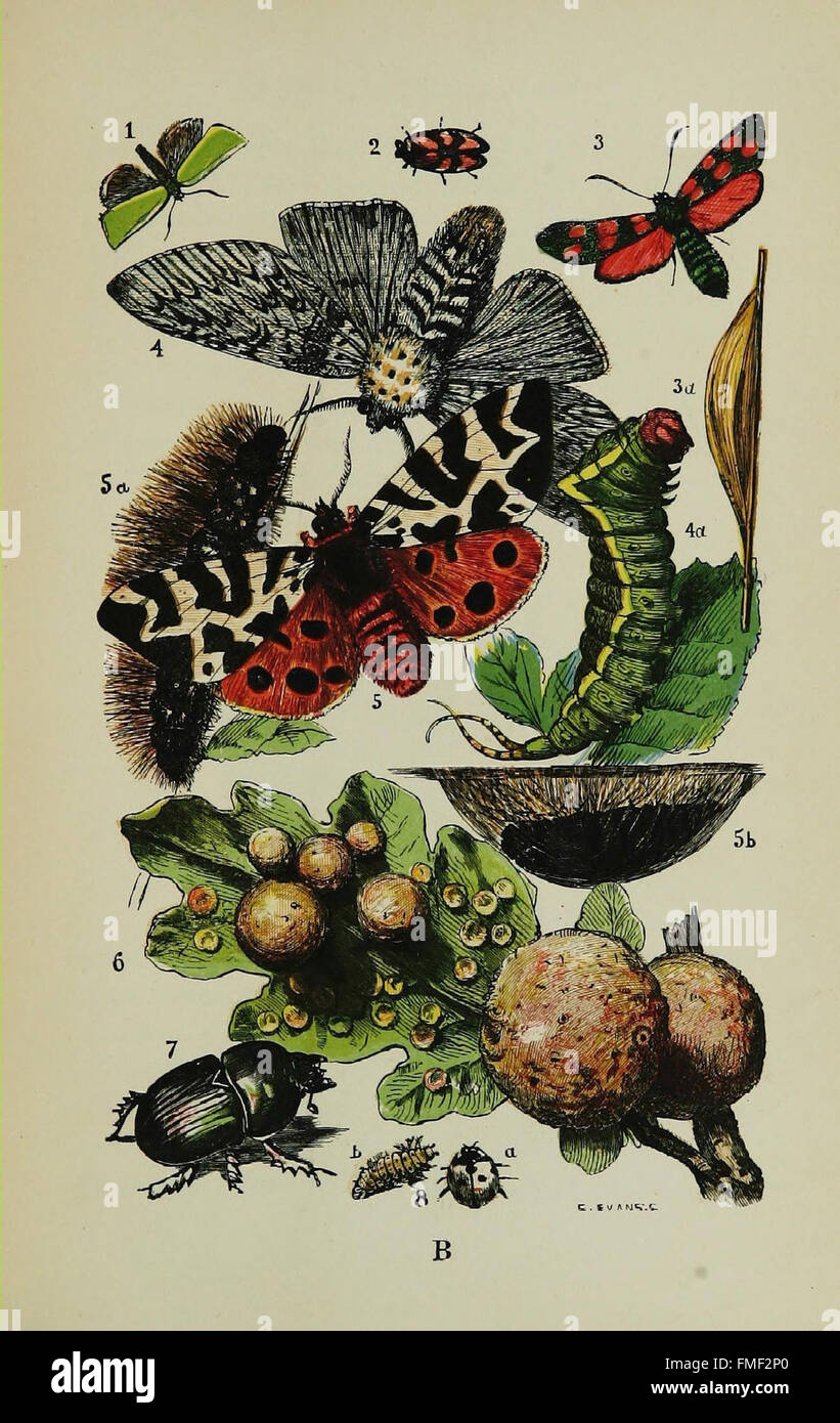 Common objects hi-res stock photography and images - Alamy