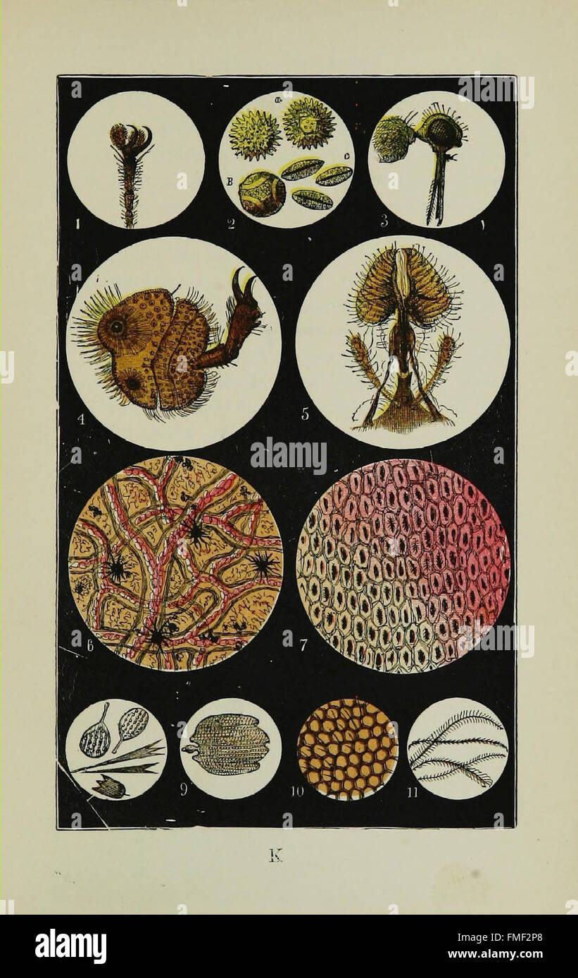 Common objects hi-res stock photography and images - Alamy