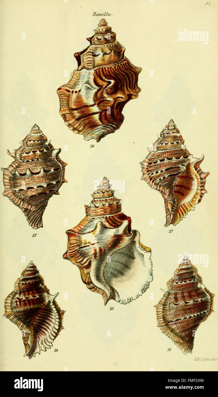 This illustrated work provides detailed and colored depictions of ...