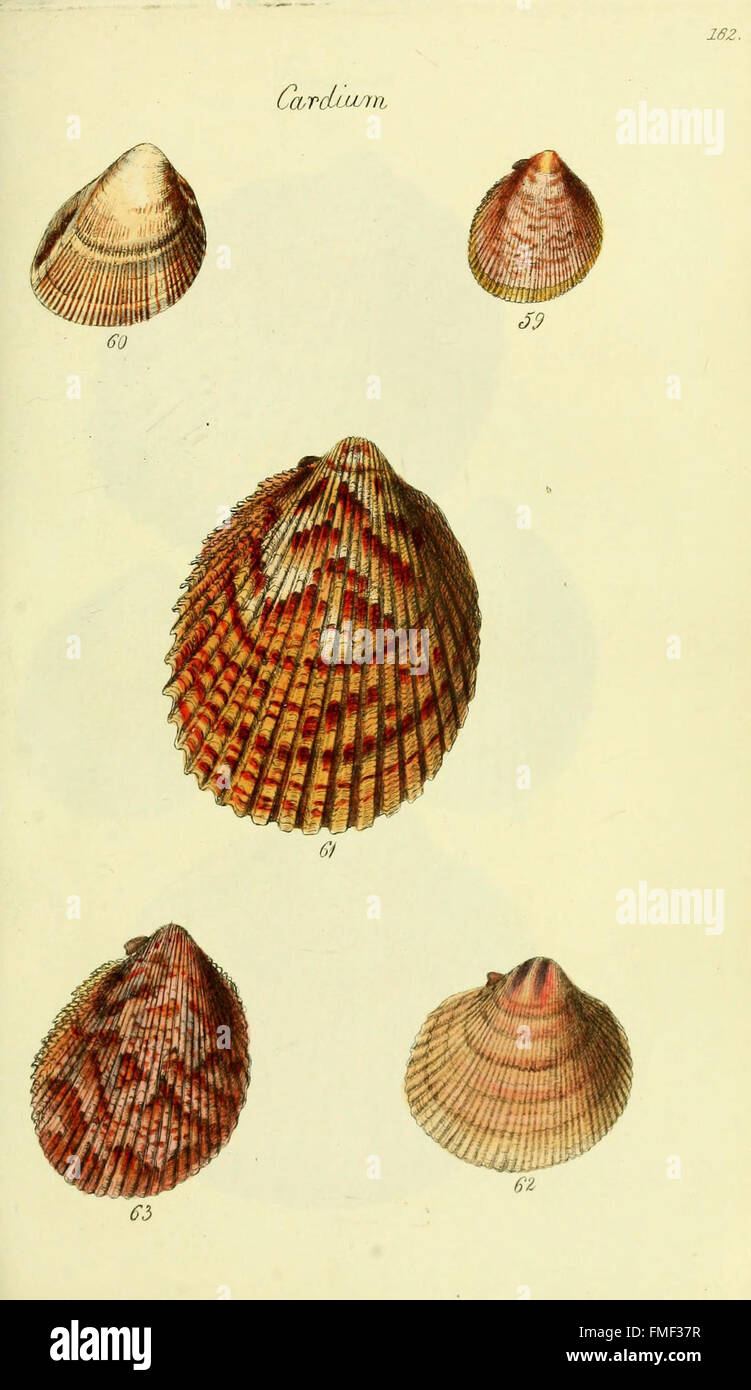 This work features colored illustrations of previously unillustrated ...