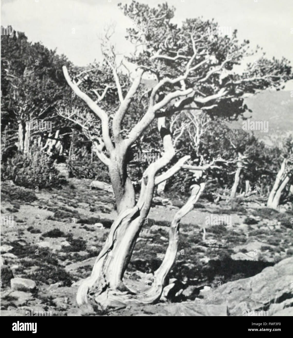 'The Continent We Live On' (1961) explores the physical geography ...