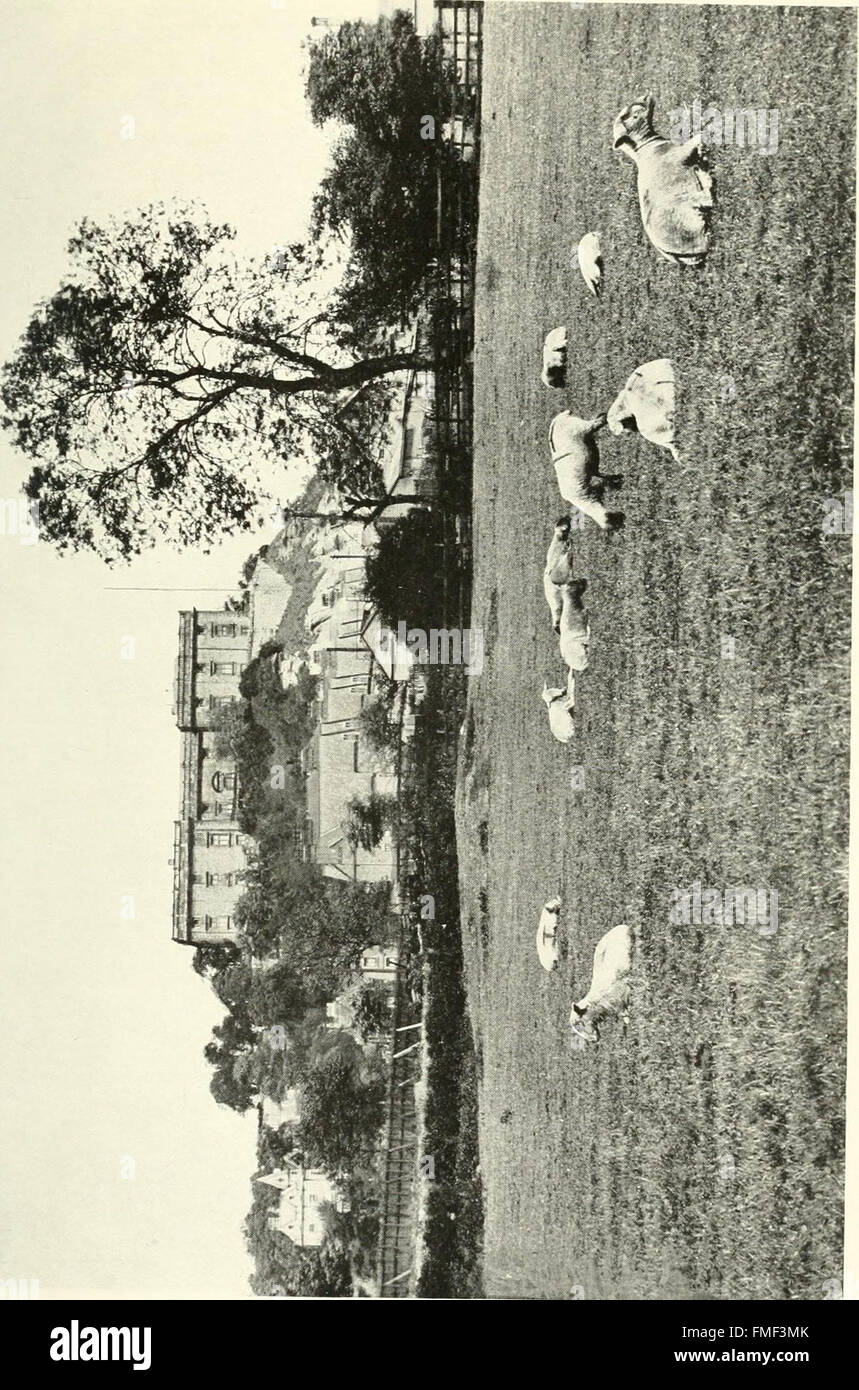 This 1912 publication explores the history, stories, and antiquities of ...