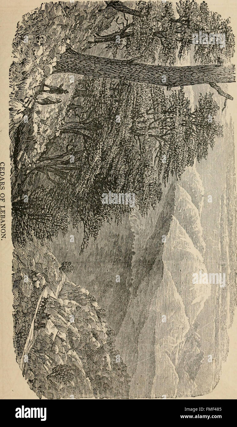 'Antiquities of the Orient Unveiled' provides descriptions of the ...