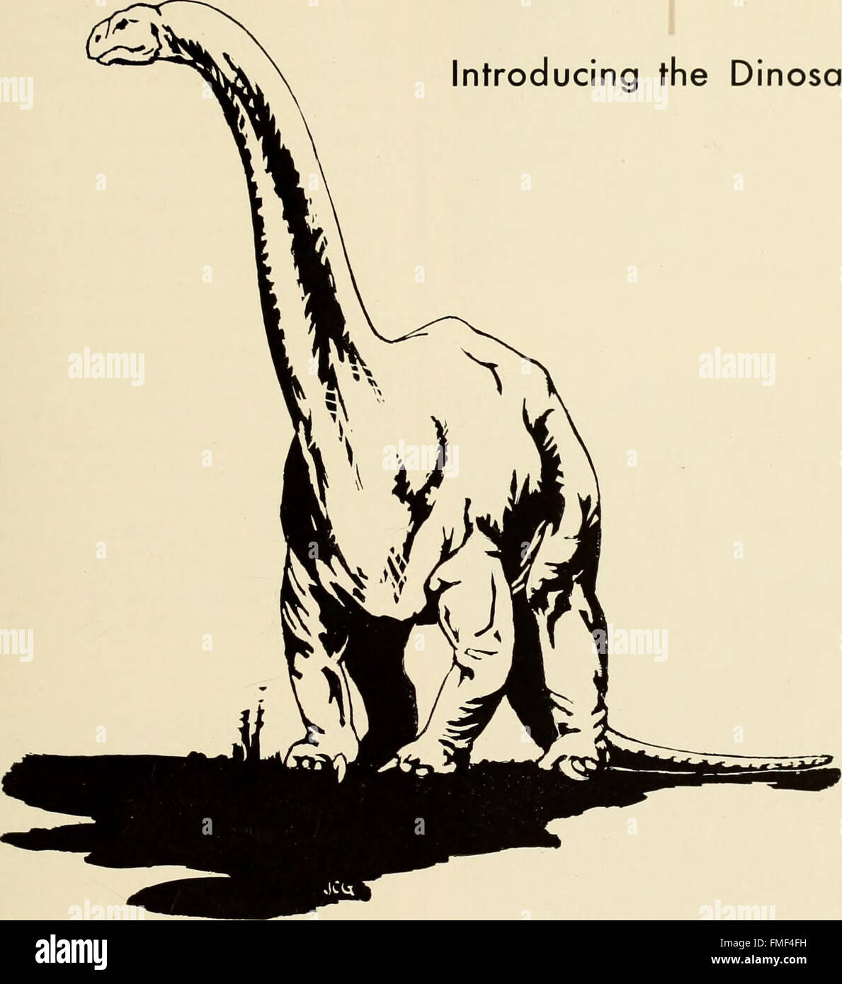 'The Dinosaur Book' (1945) provides a comprehensive guide to the ...