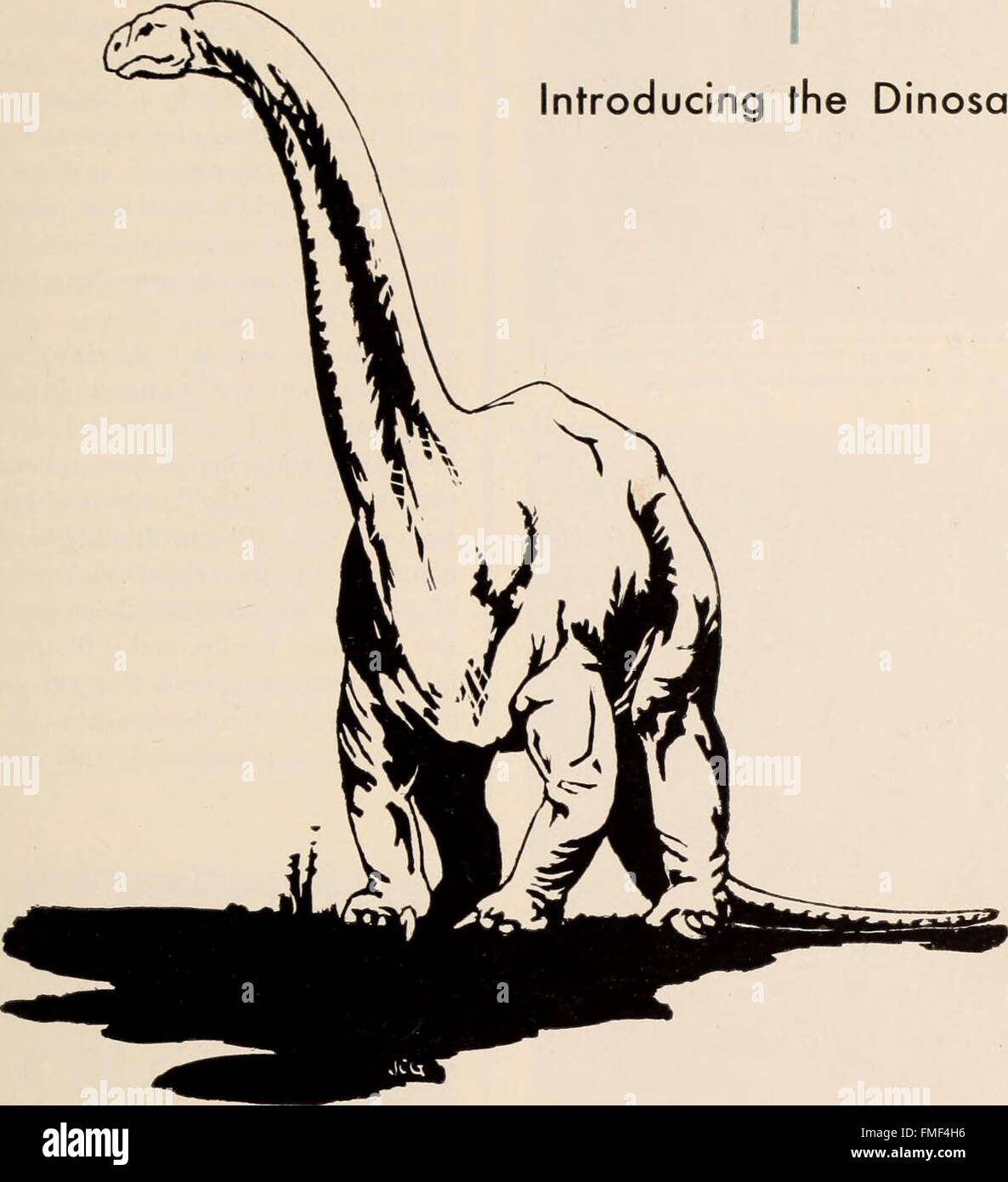 A 1951 publication detailing various dinosaur species and their ...