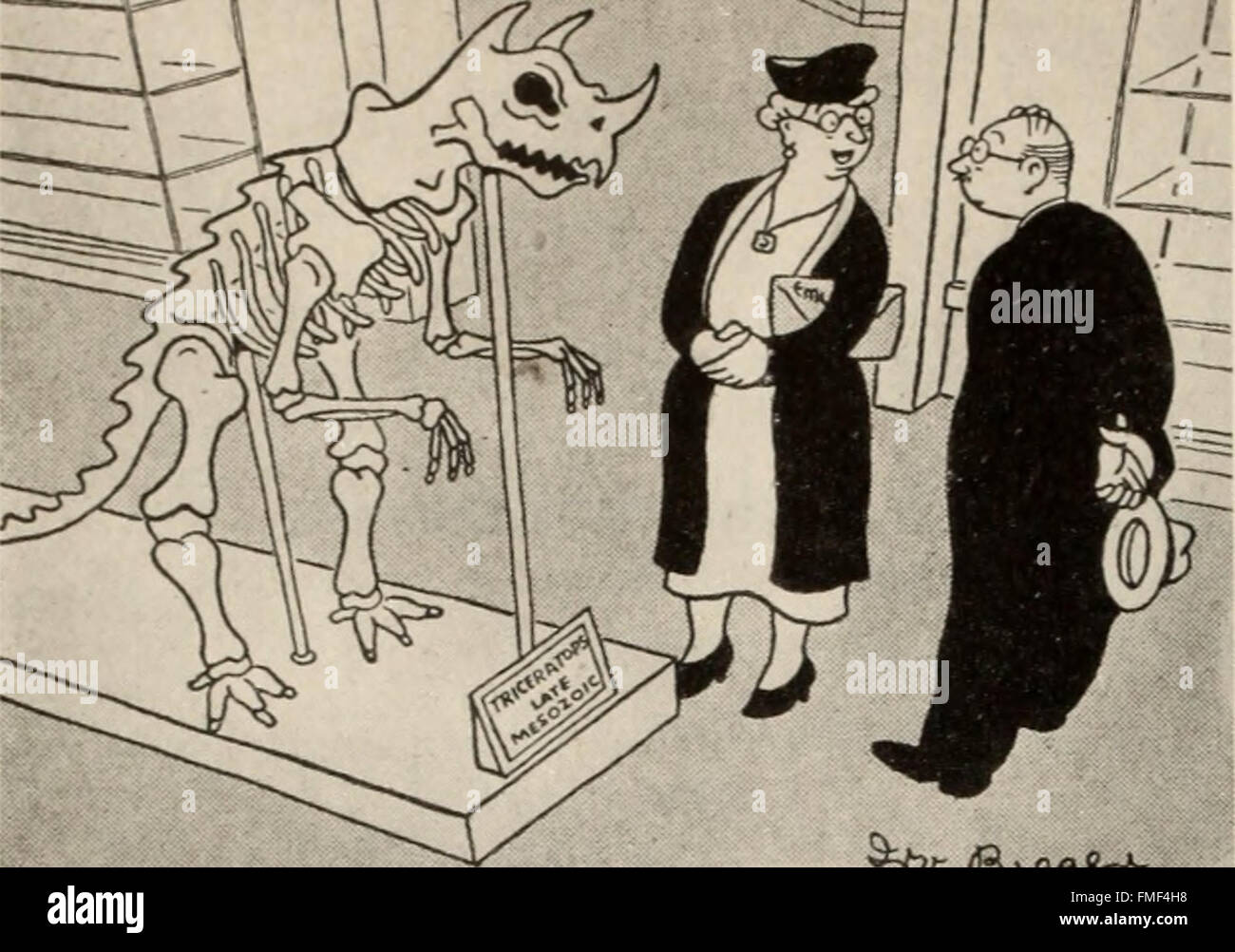 This book provides an overview of dinosaurs and their relatives ...