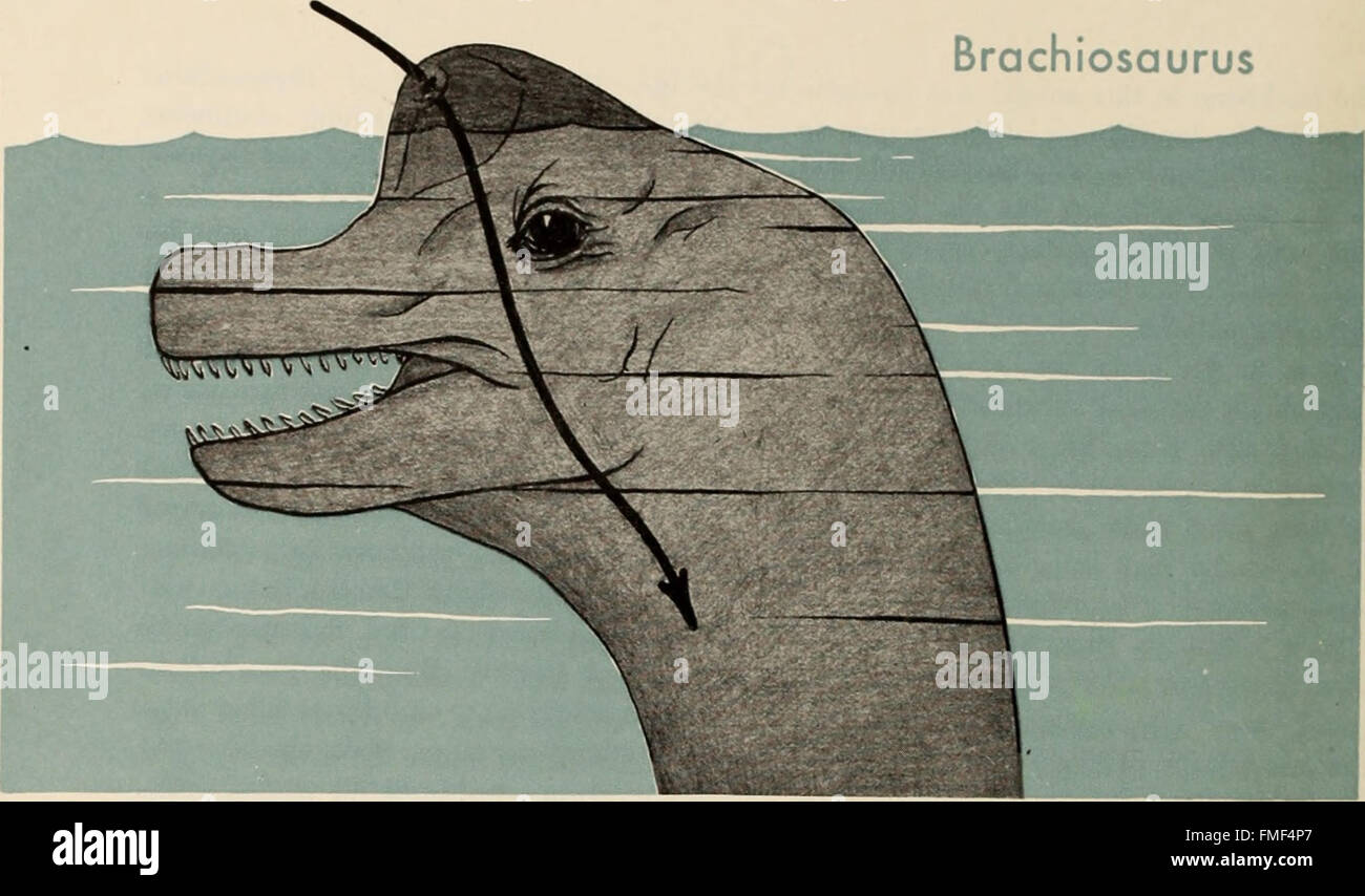 *The Dinosaur Book* (1951) presents an engaging guide to dinosaurs ...