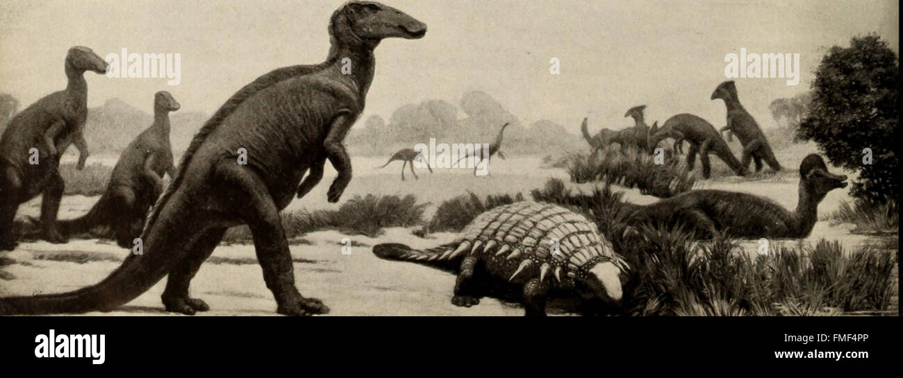 Published in 1951, 'The Dinosaur Book' provides a detailed look into ...