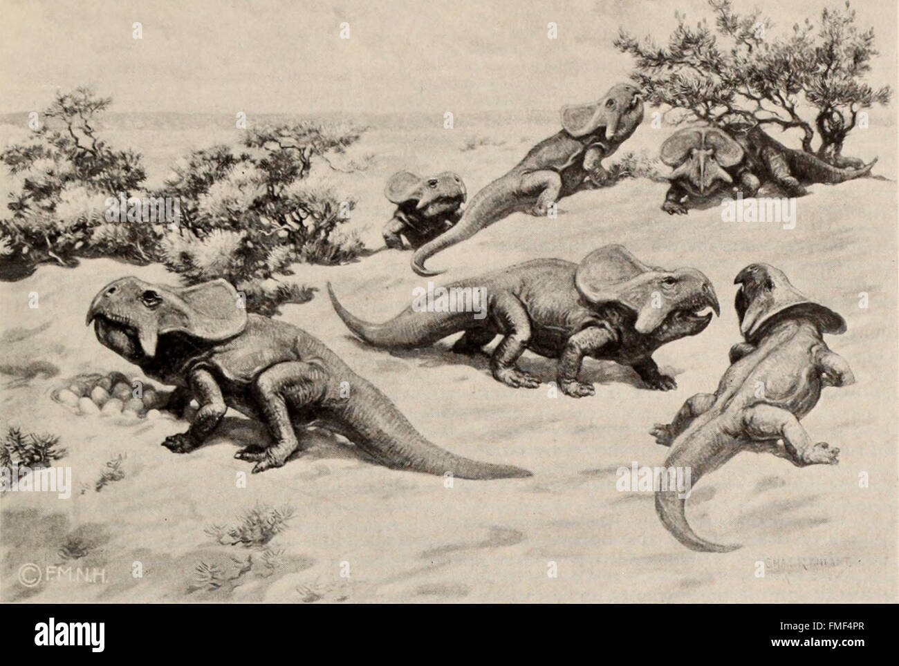 'The Dinosaur Book' (1951) explores the diverse world of dinosaurs and ...