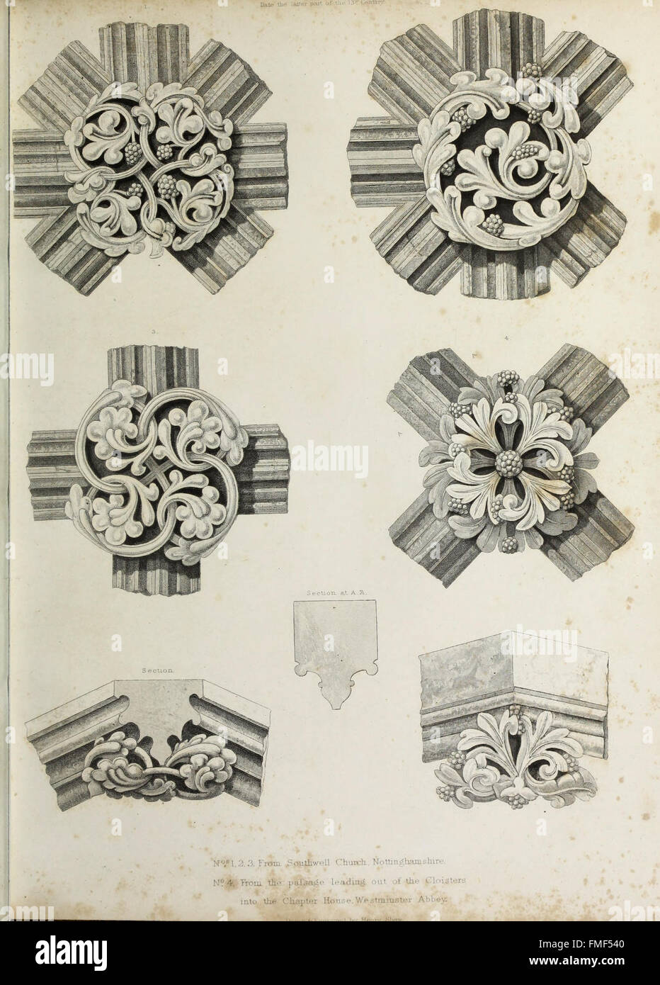 This work provides a comprehensive guide to various ornamental designs ...