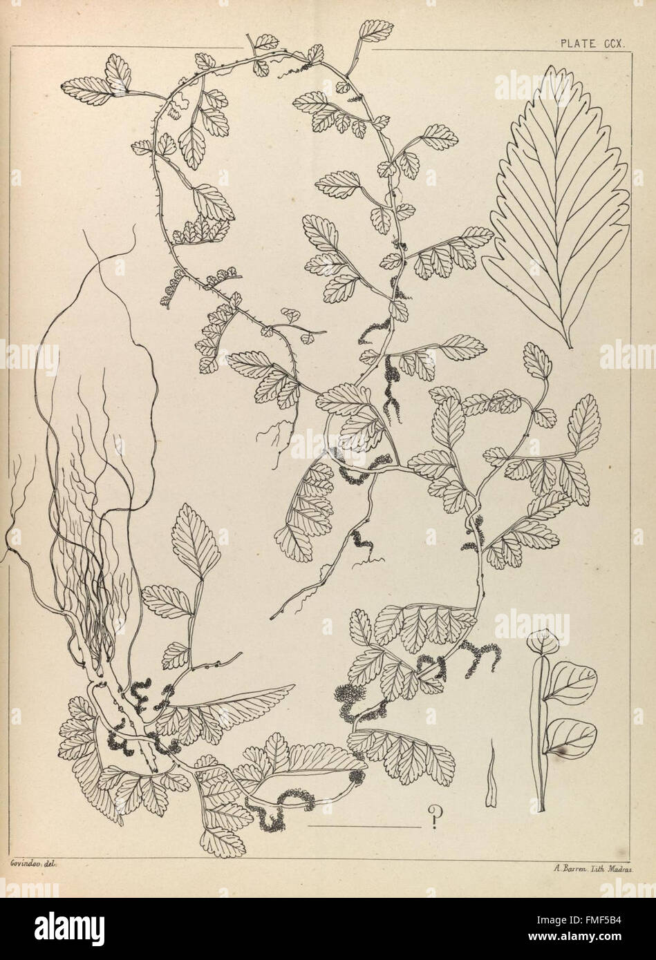 Ccx font hi-res stock photography and images - Alamy