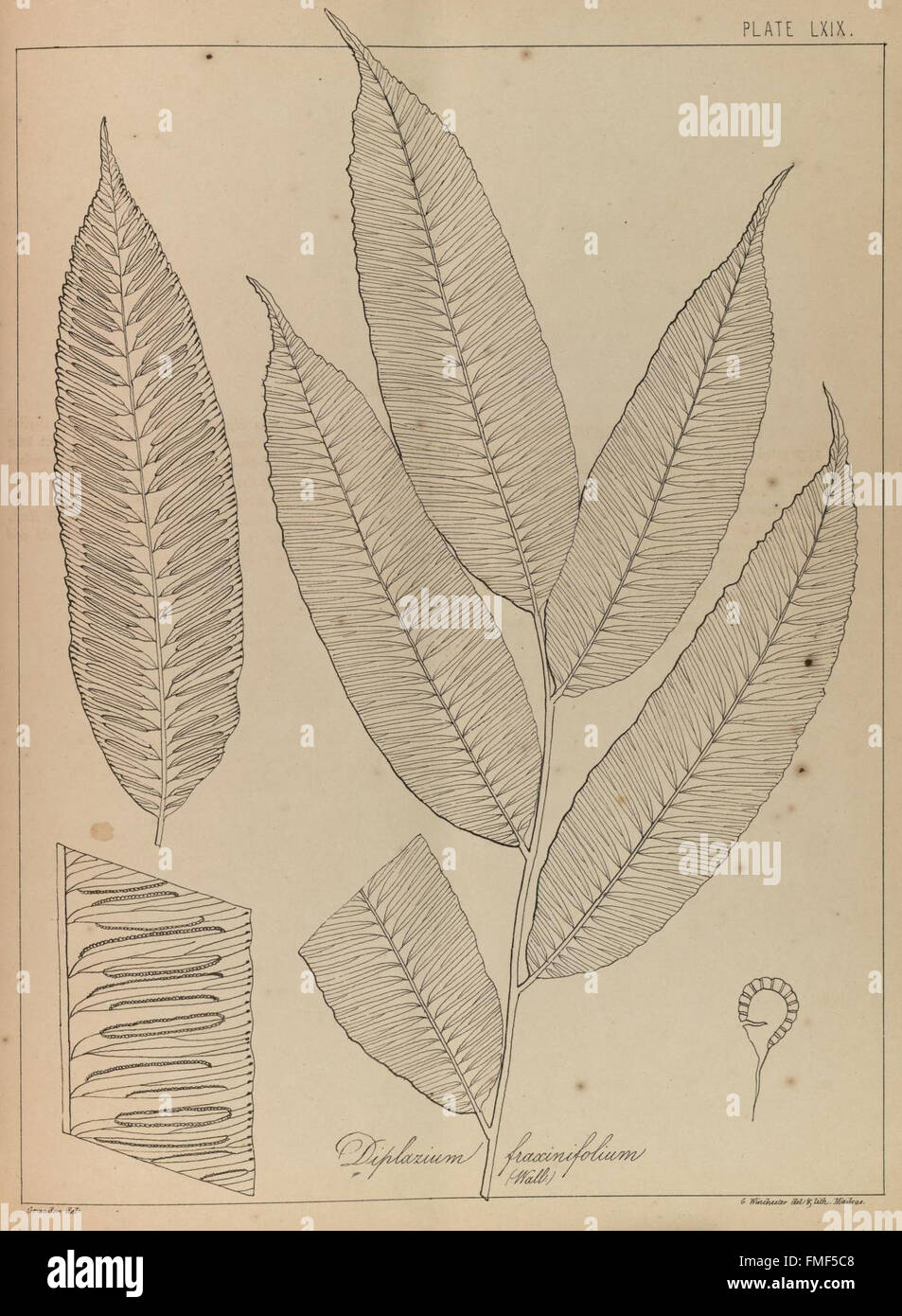 Page lxix hi-res stock photography and images - Alamy