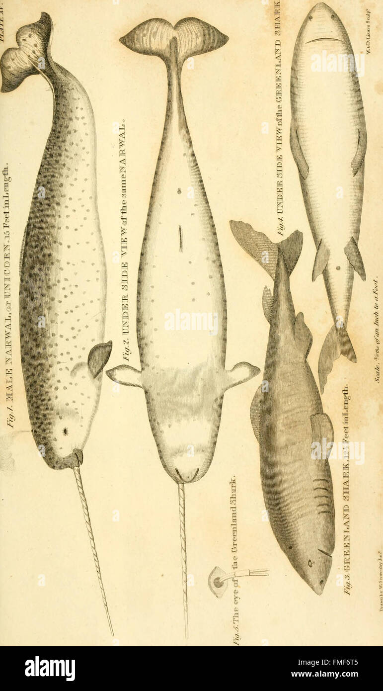 This 1820 account details the Arctic regions and the history of the ...