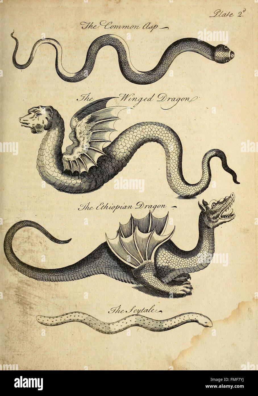 This work presents an essay on the natural history of serpents, with ...