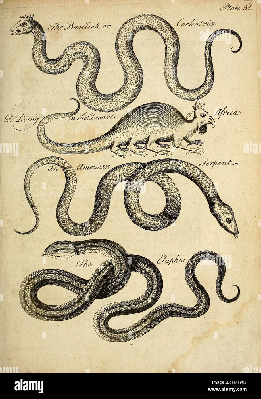 History of serpents hi-res stock photography and images - Alamy