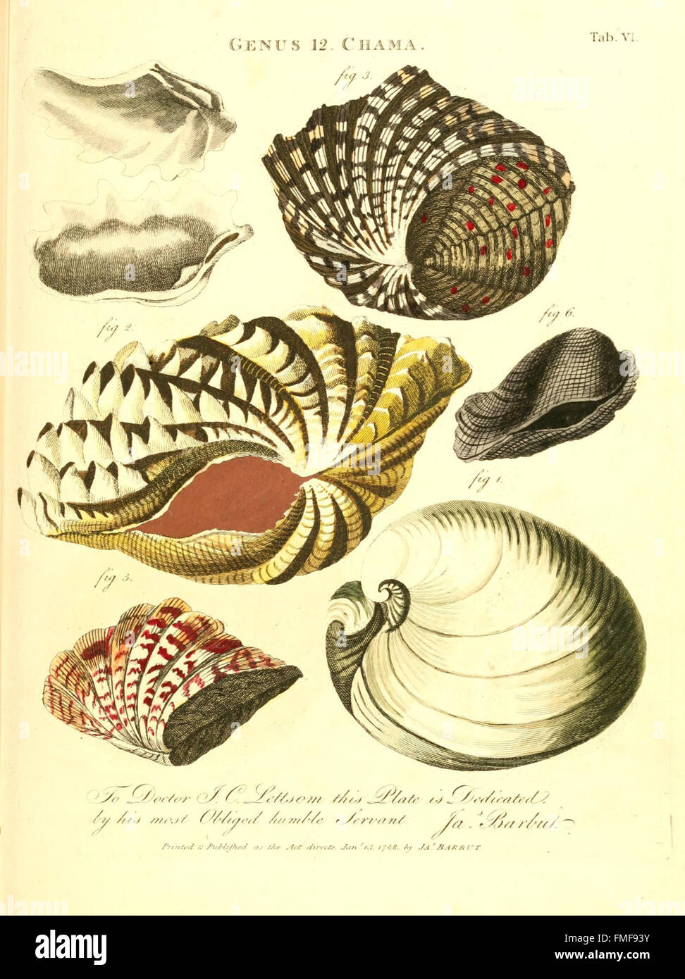 Plate 6 from 'The Genera Vermium' showcases various specimens of worms ...