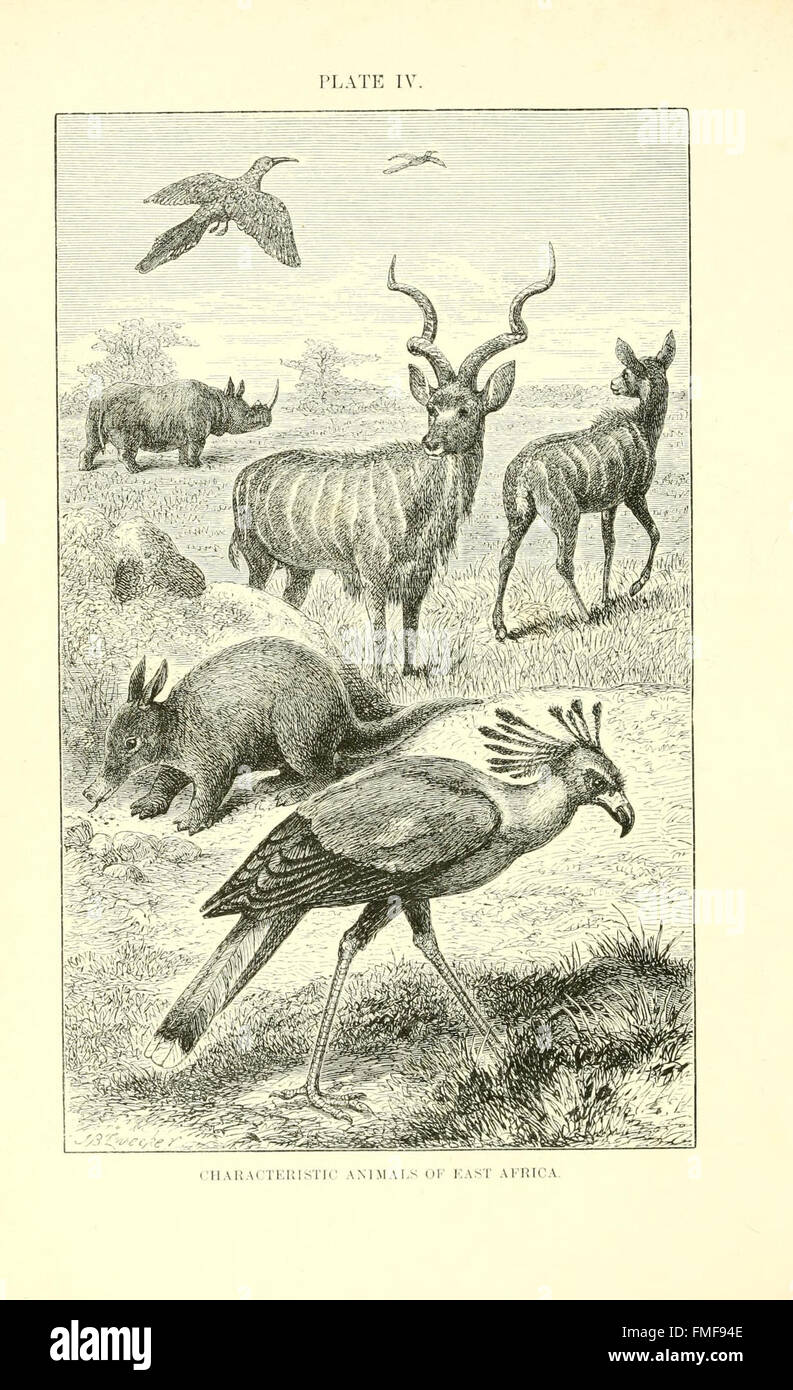 Plate IV from 'The Geographical Distribution of Animals' shows the ...