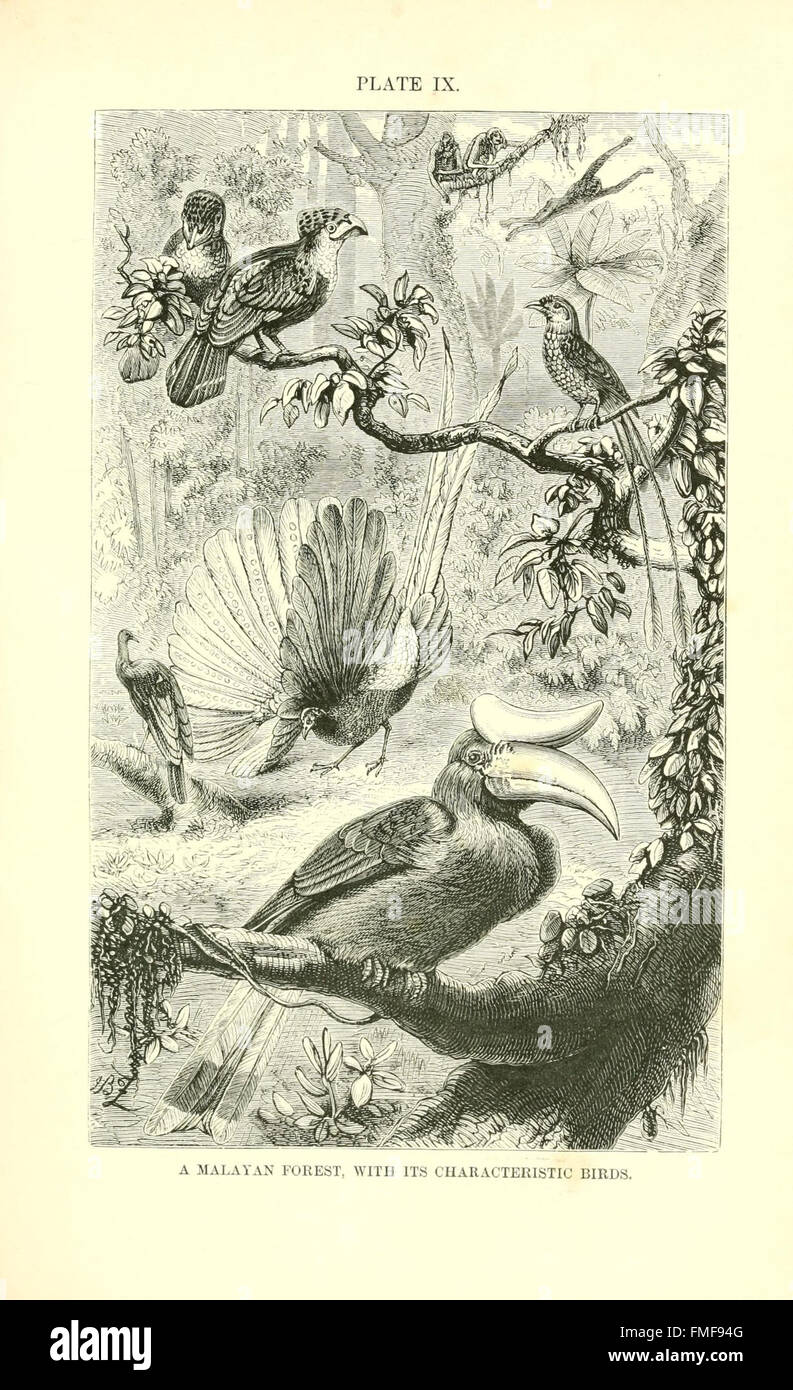 This plate illustrates the geographical distribution of various animal ...