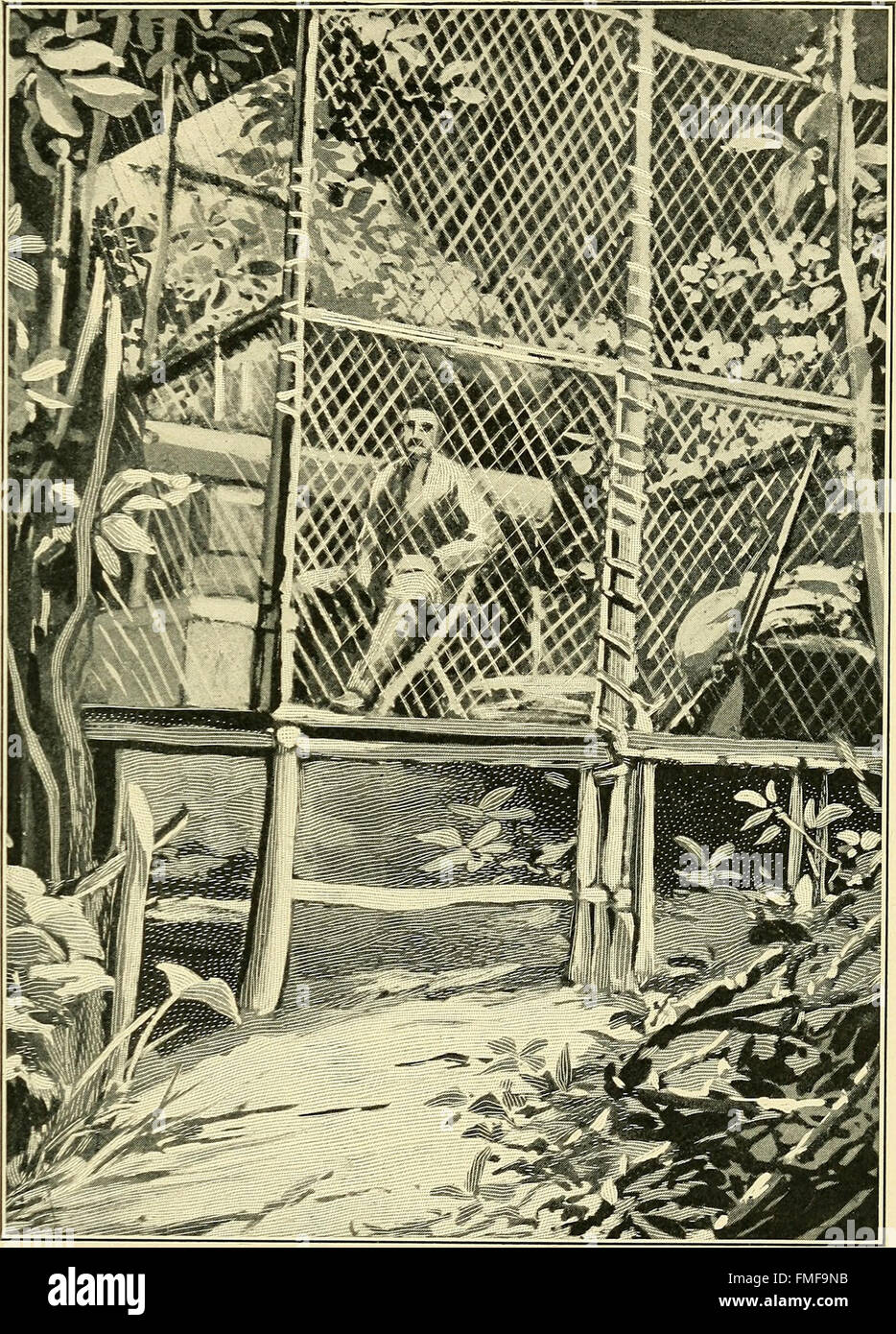 Monkeys language hi-res stock photography and images - Alamy