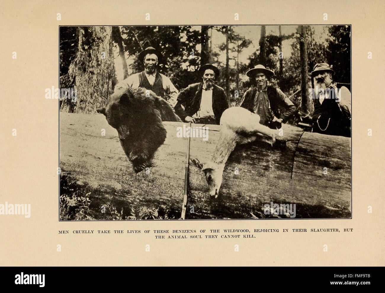 'The Human Side of Animals' explores the emotional and psychological ...