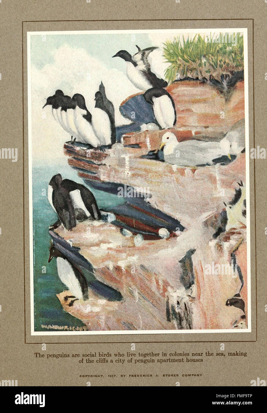 'The Human Side of Birds' explores the behaviors, emotions, and social ...