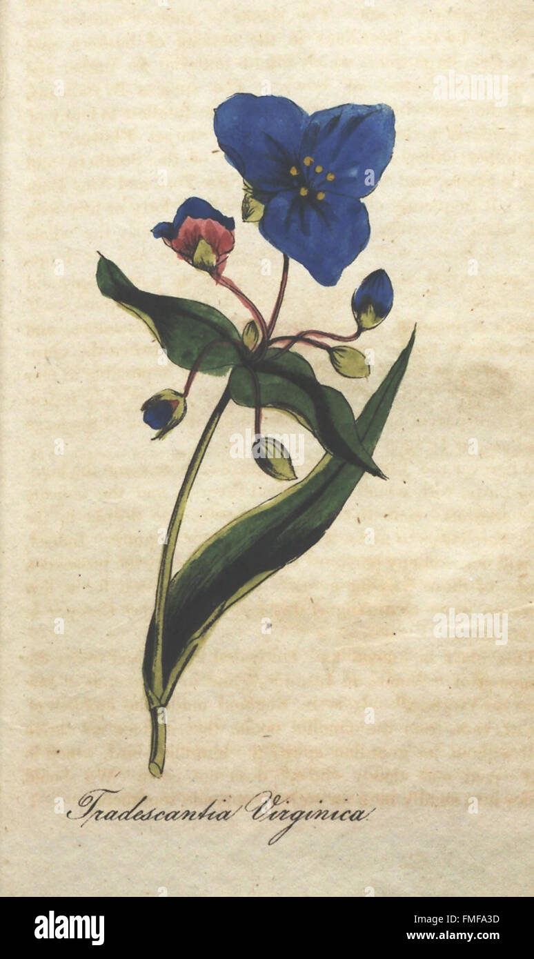 'The Illustrated Botany' is a botanical reference work featuring ...