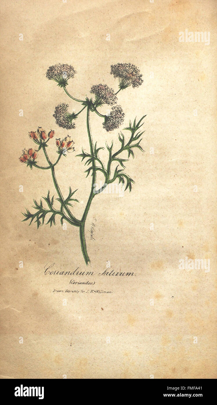 The Illustrated Botany is a comprehensive guide to various plant ...