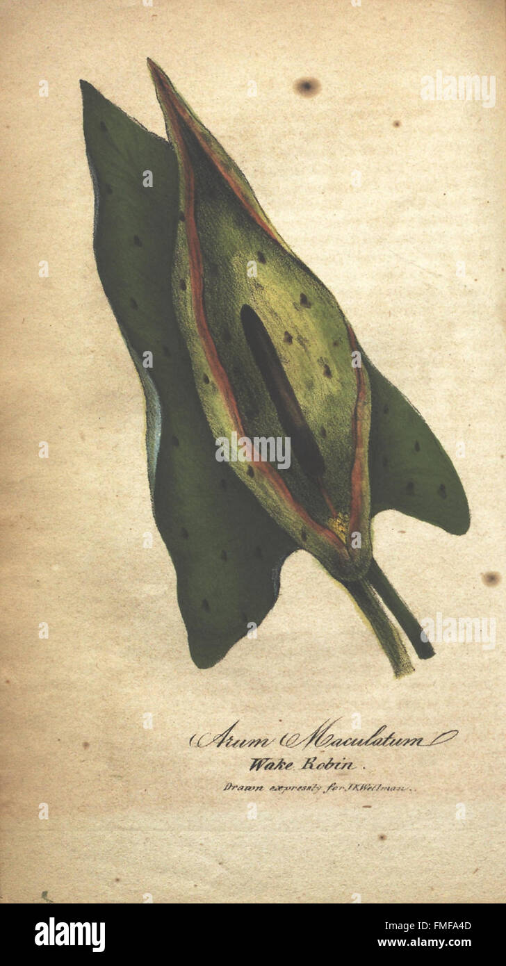 This work provides a visual guide to various plant species, with ...