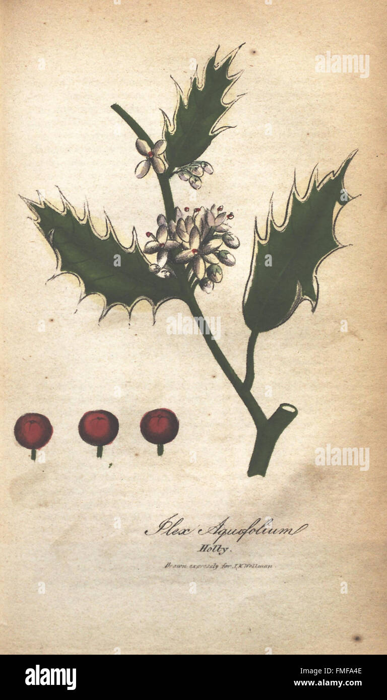 *The Illustrated Botany* provides detailed visual representations of ...