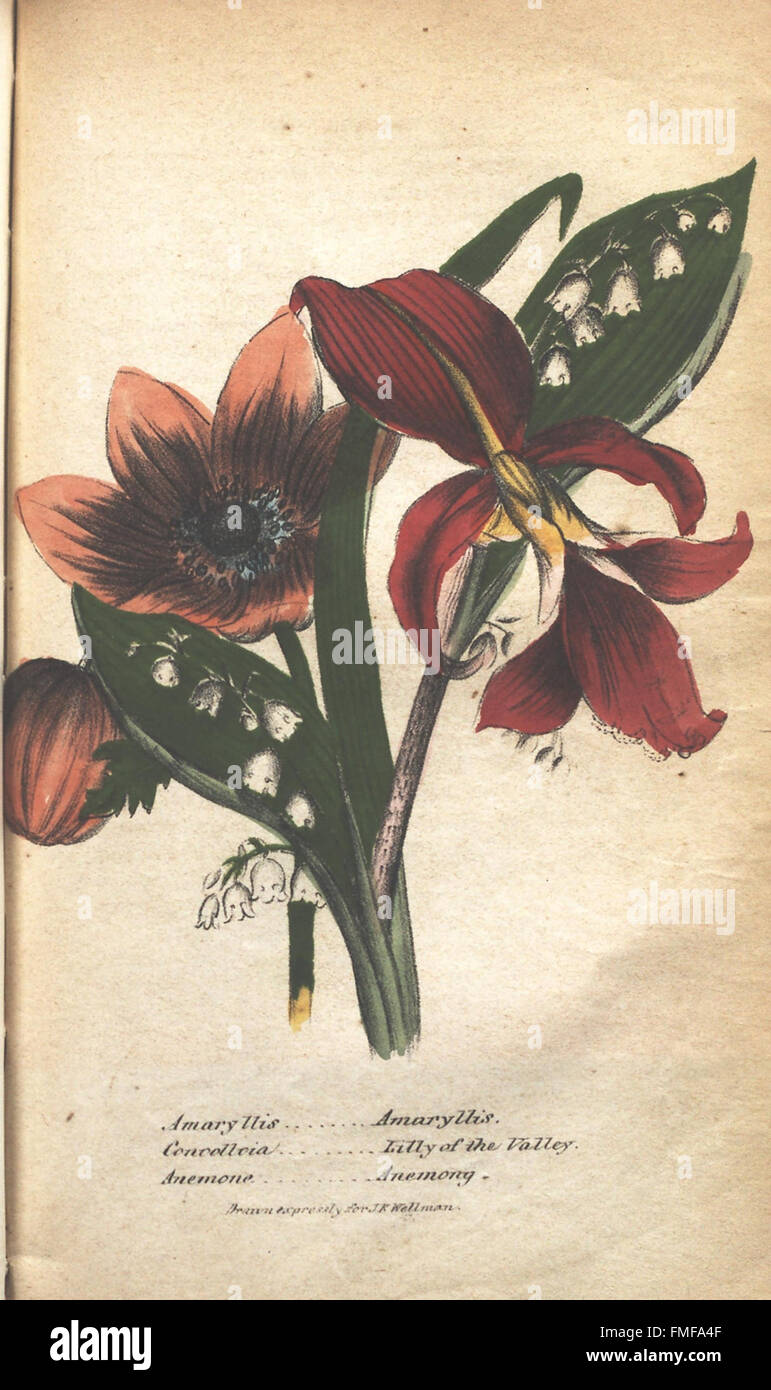 This botanical reference work provides visual illustrations and ...