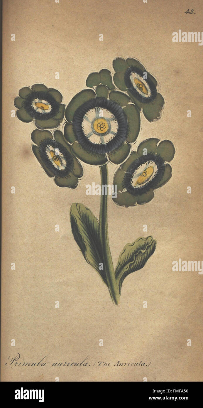 Botany cover page hi-res stock photography and images - Alamy