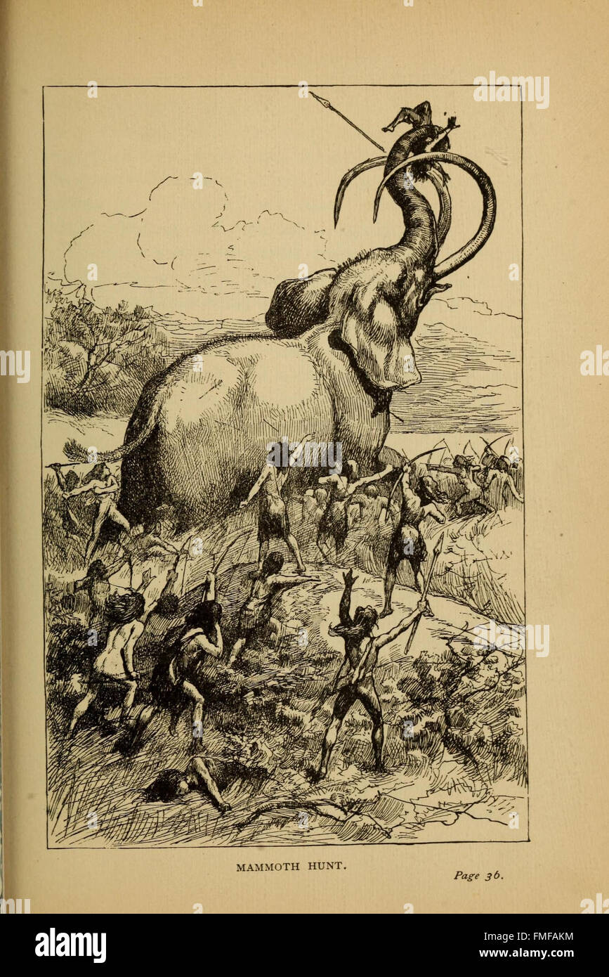 This plate from 'The Ivory King' depicts the rare and historic ivory ...