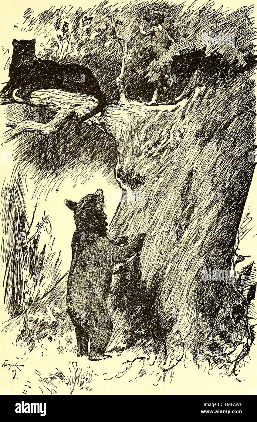 Jungle book mowgli wolves hi-res stock photography and images - Alamy
