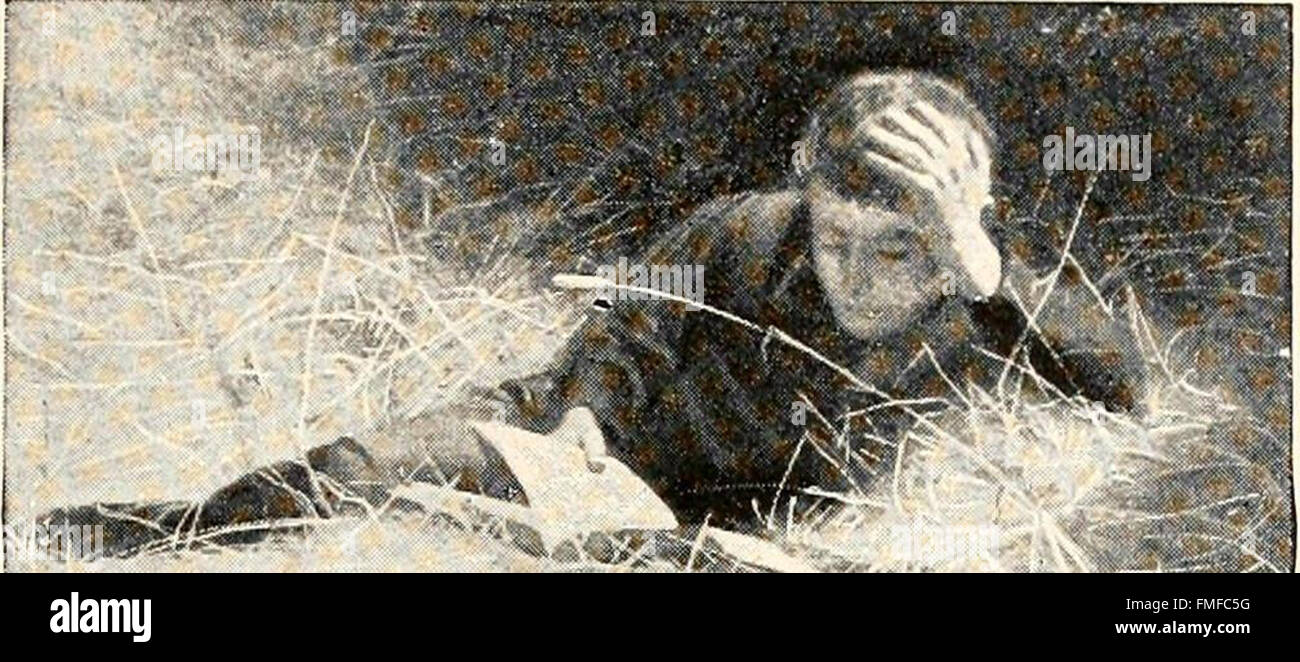 'The New England Magazine' (1891) offers a collection of articles ...