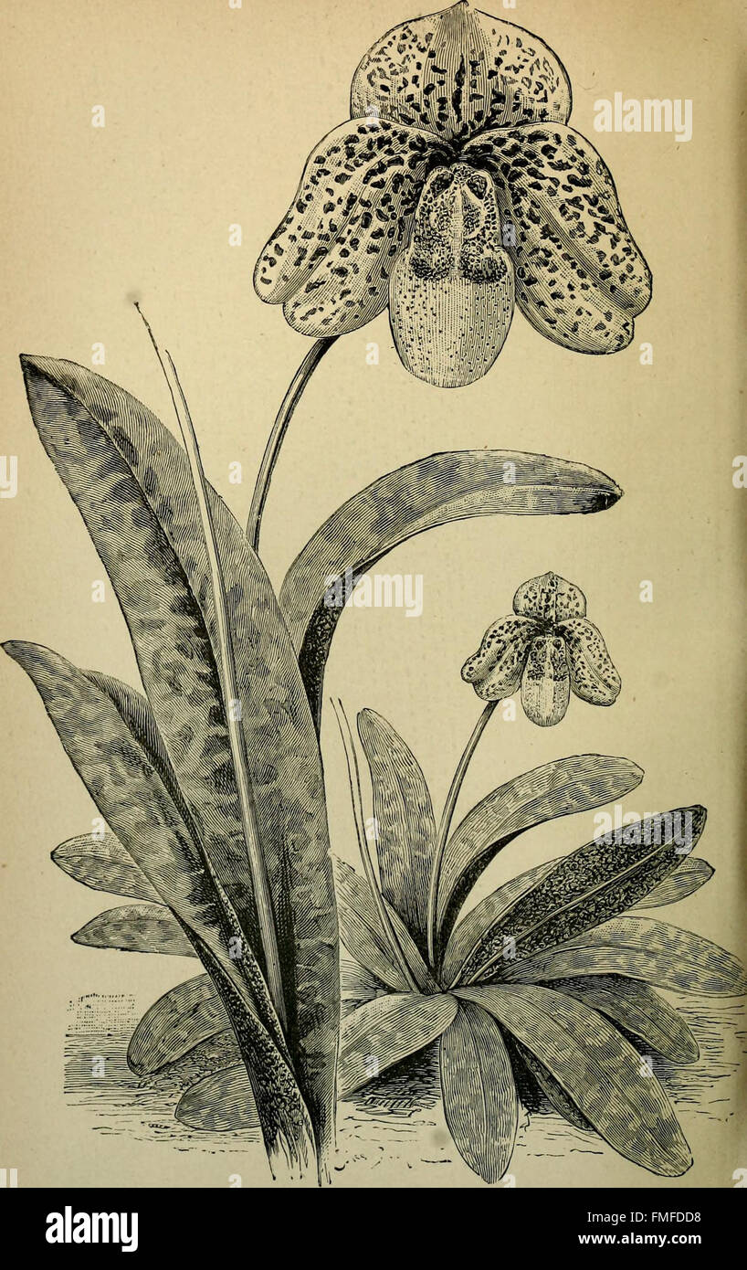 This manual provides detailed descriptions of the best species and ...