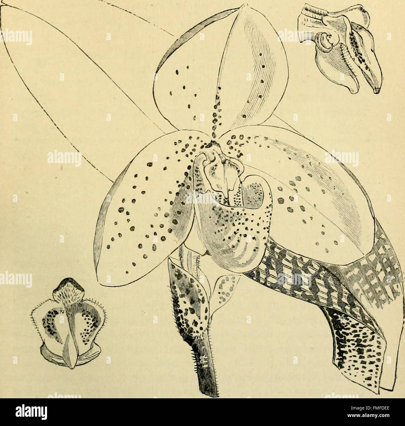 This manual from 1885 provides detailed descriptions of the best ...