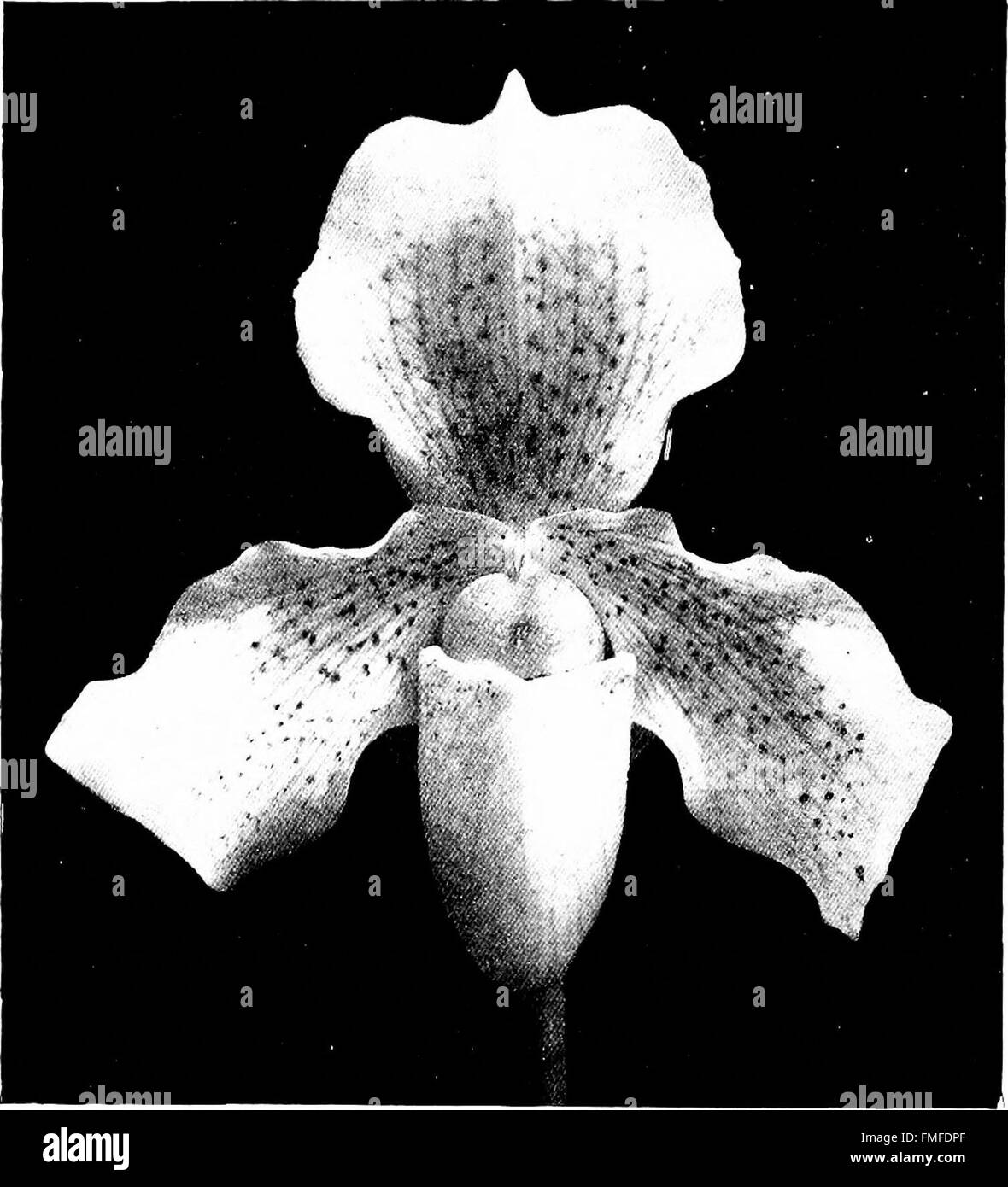 Hybrid research Black and White Stock Photos & Images - Alamy