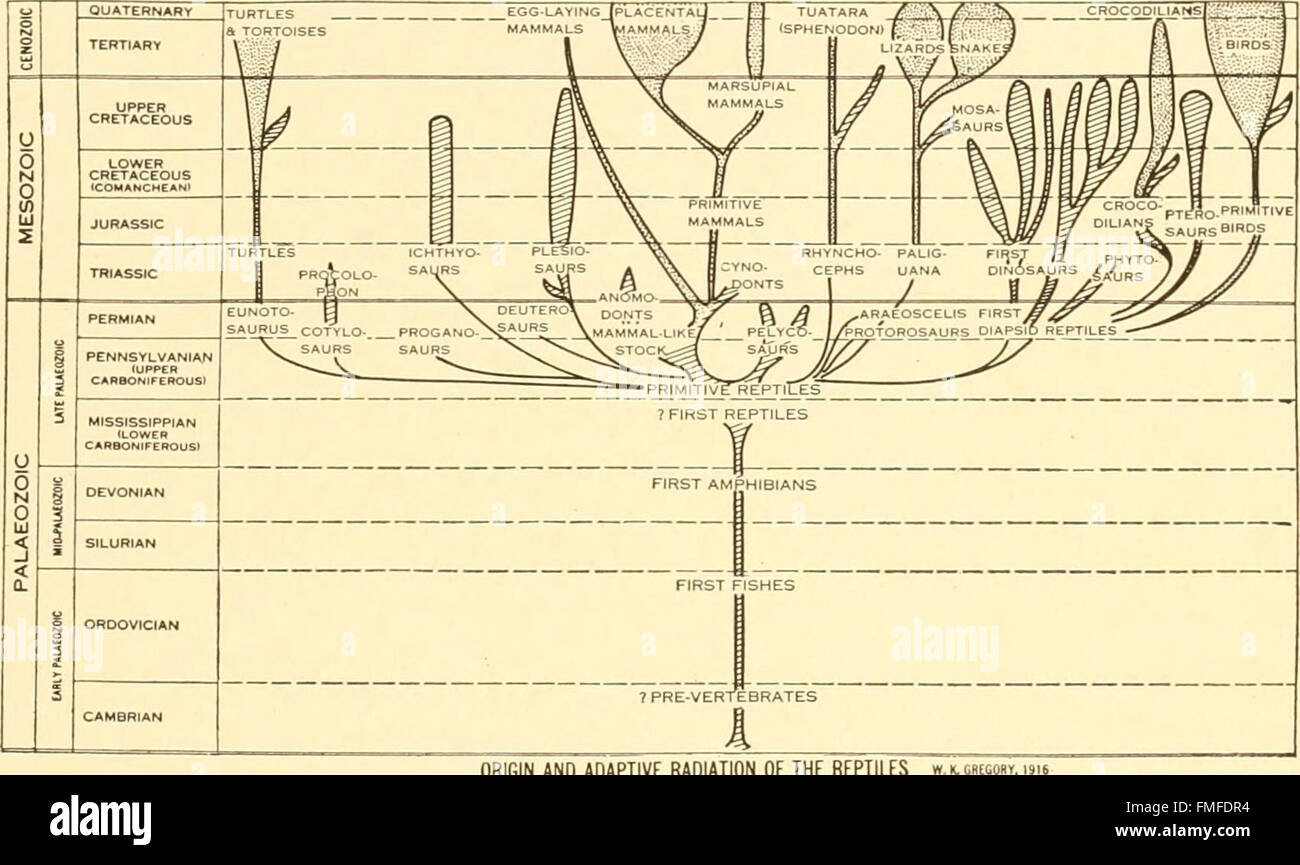 'The Origin and Evolution of Life' (1917) presents a scientific theory ...