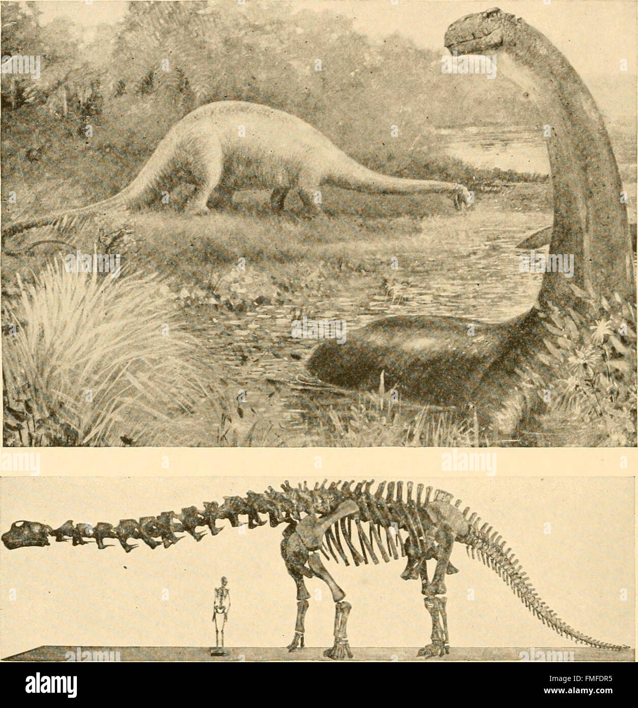 Published in 1917, this work discusses the theory of energy's role in ...