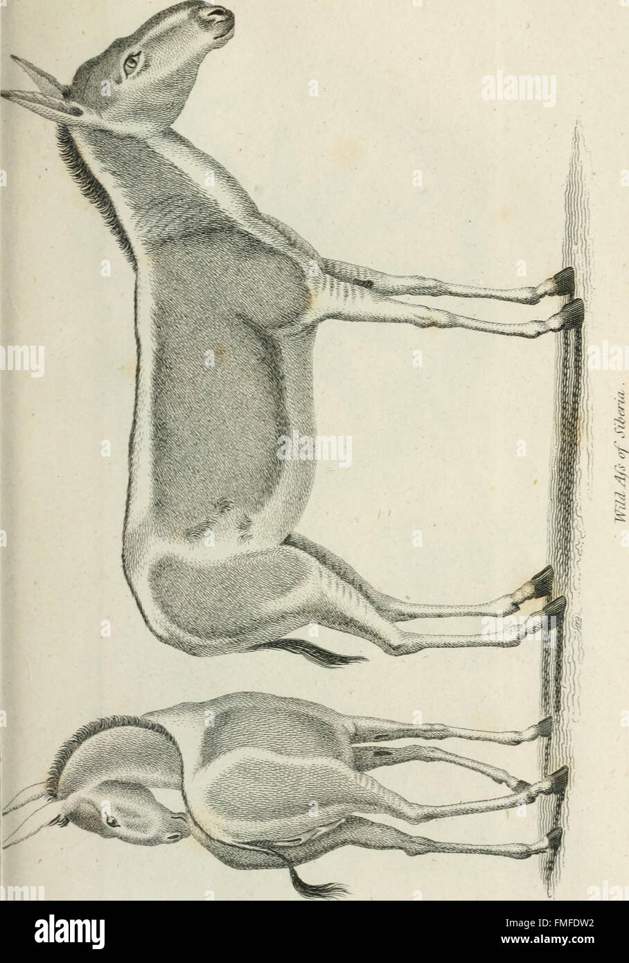 'The Philosophical Magazine' (1798) is a pioneering journal in the ...