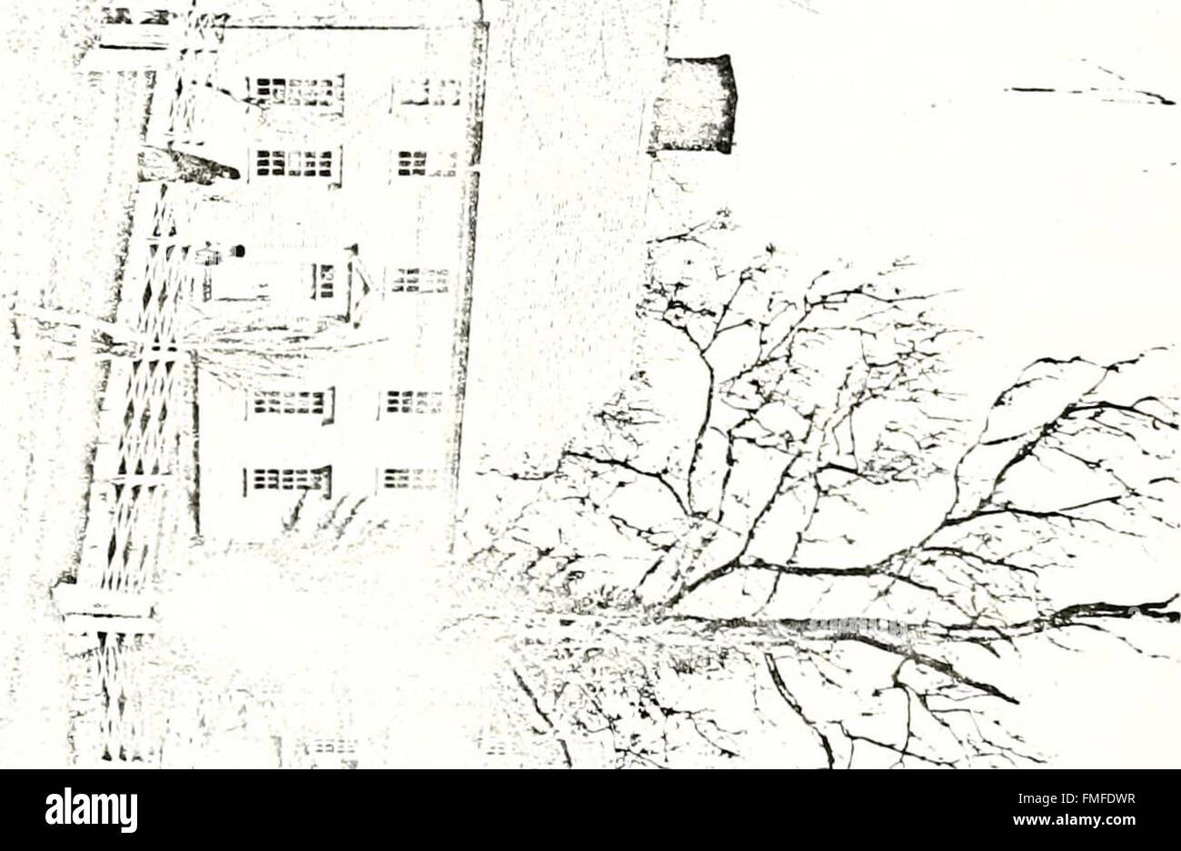 *The Pickering Genealogy* is a historical account detailing the origins ...