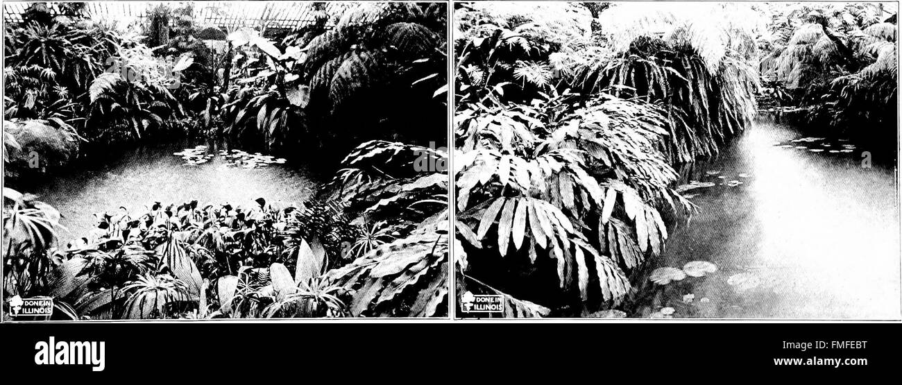 Illinois prairie landscape Black and White Stock Photos & Images - Alamy