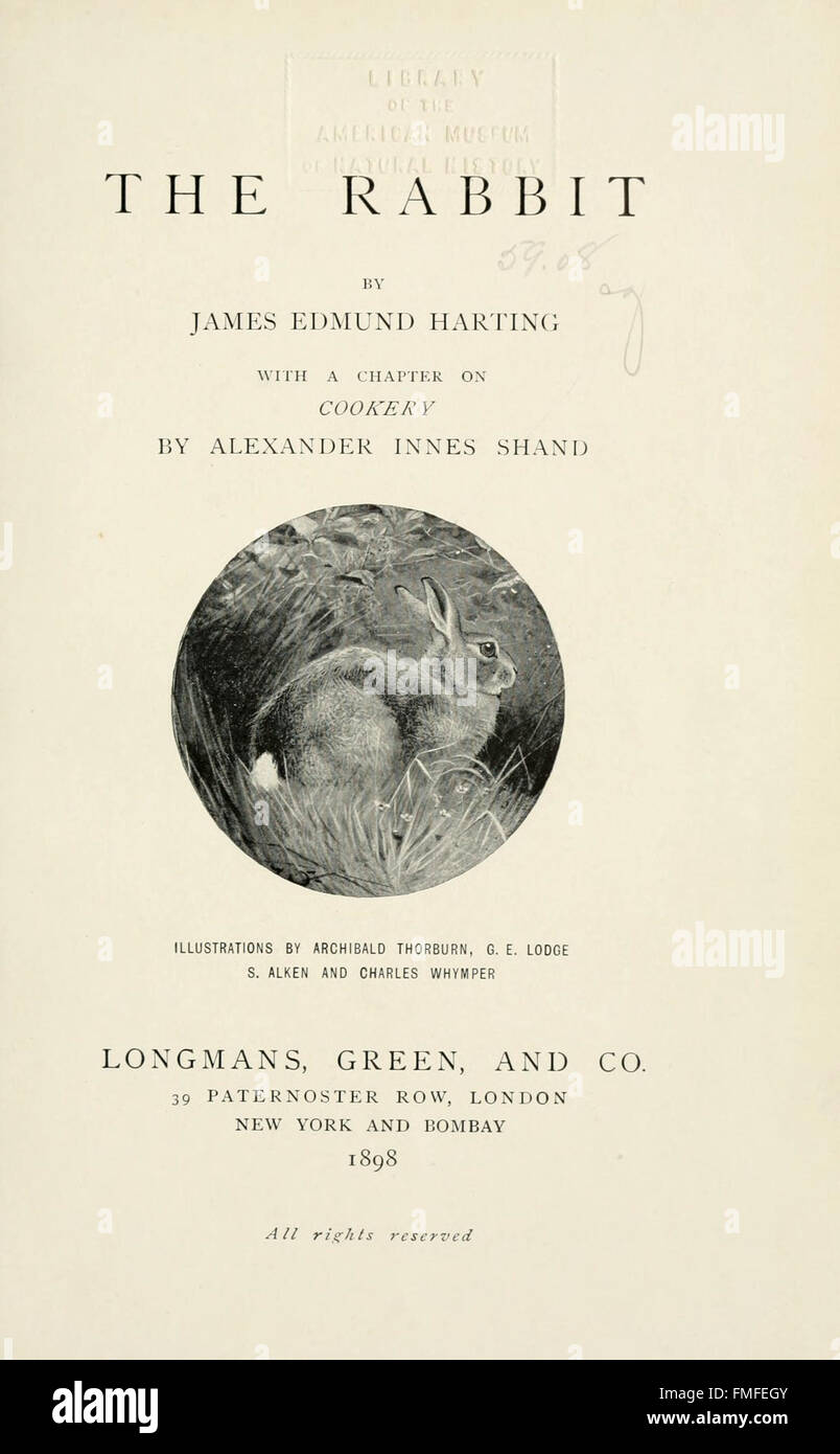 Rabbit book cover hi-res stock photography and images - Alamy
