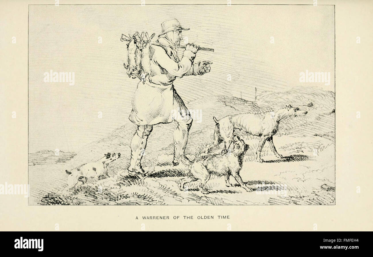 Plate 4 from 'The Rabbit' presents a detailed illustration of a rabbit ...