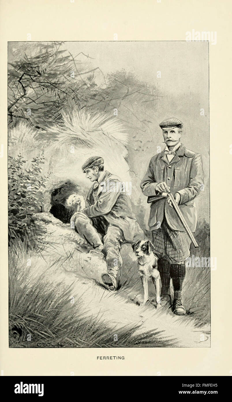 Plate 5 of *The Rabbit* provides a detailed illustration of the rabbit ...