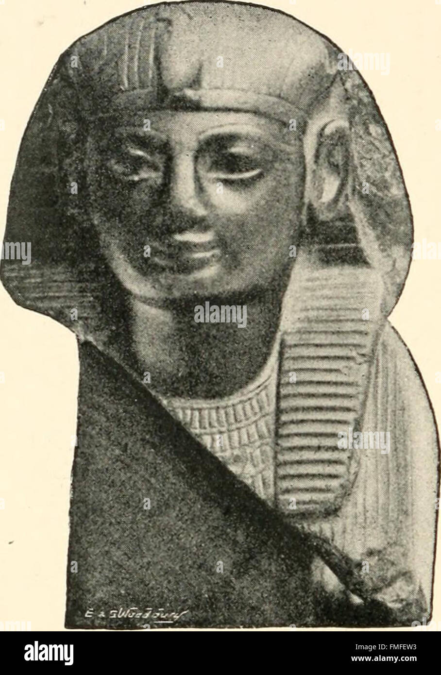 'The Sacred Beetle' (1902) is a detailed examination of the role of ...